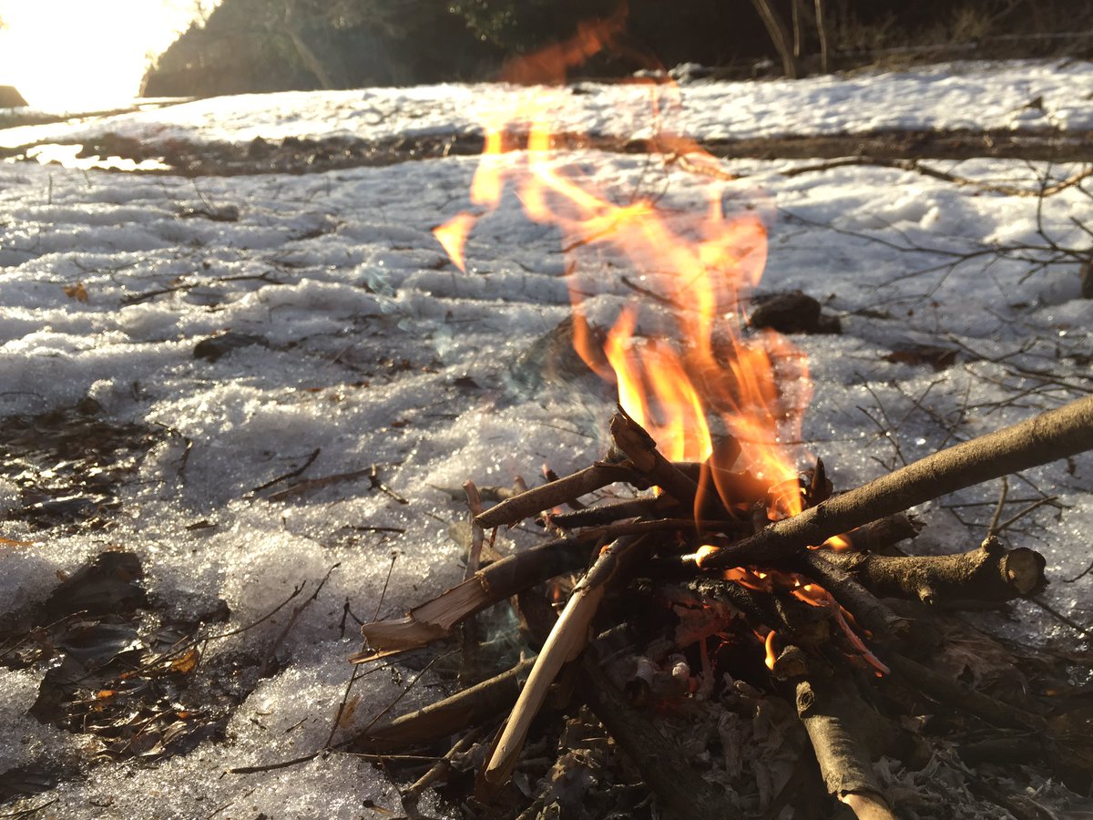 album - ryokosaka.com