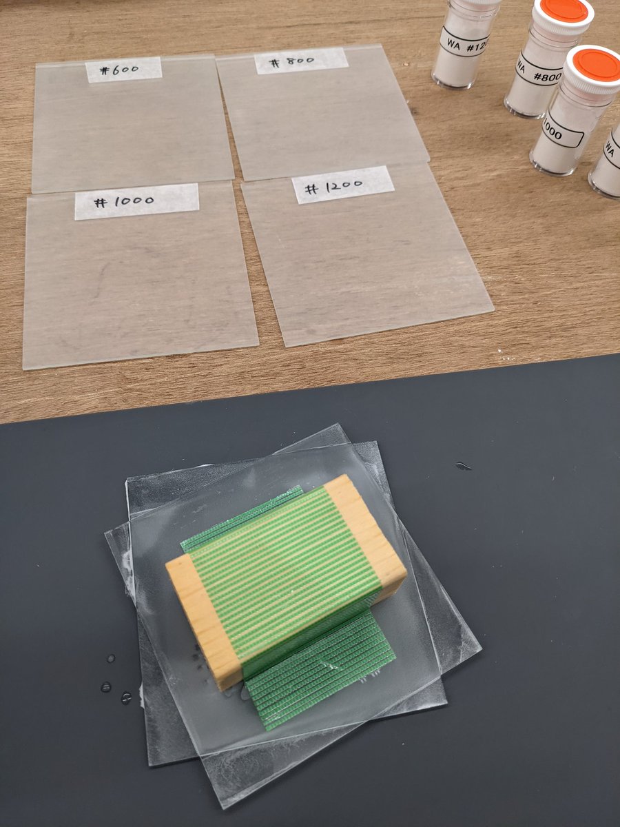 album - ryokosaka.com