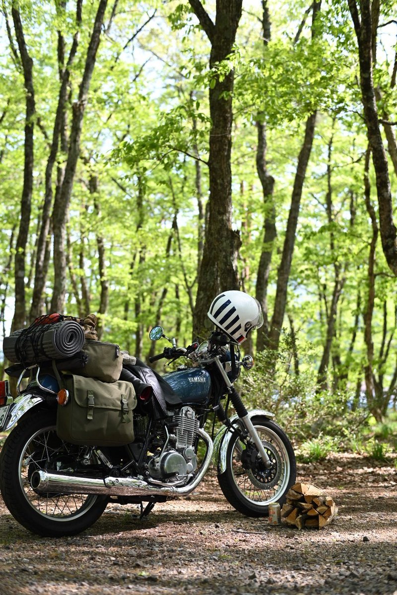 album - ryokosaka.com